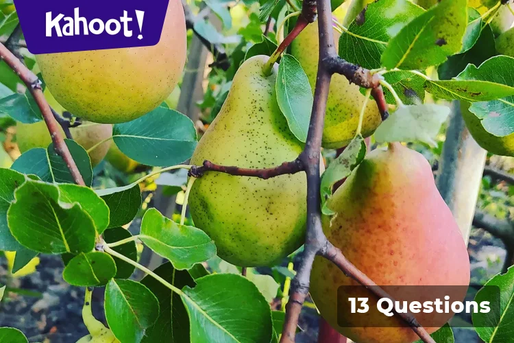 Food. Vocabulary. - Kahoot! Quiz