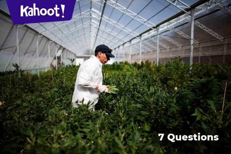 Artificial Selection: Lesson Quiz - Kahoot! Quiz