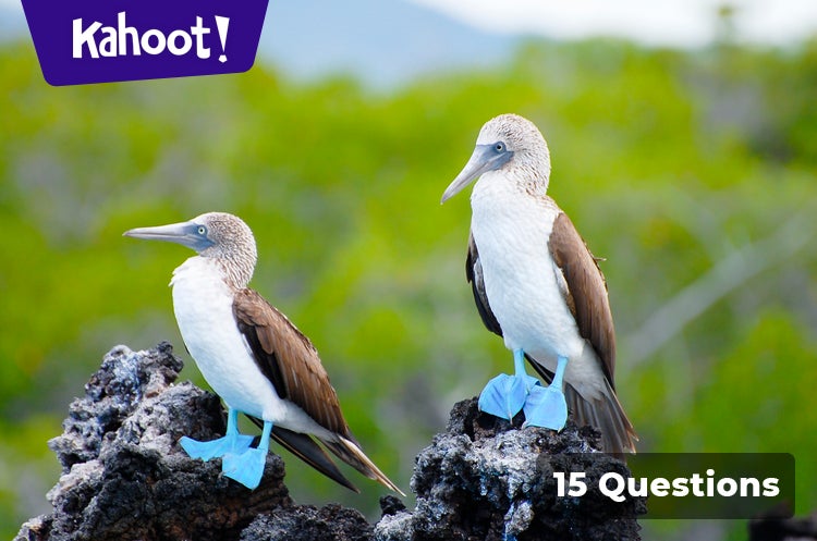 Speciation & Endangered Species - Kahoot! Quiz