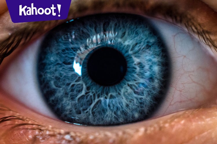 Level 1 Unit 3 Review - Kahoot! Quiz