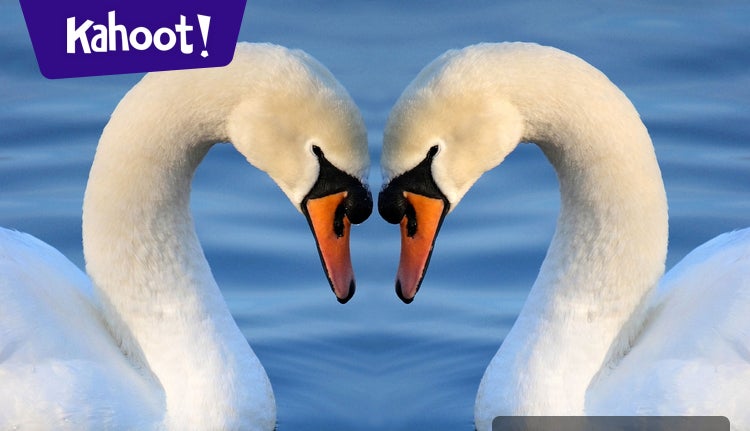 Nature's Lessons About Love - Kahoot! Quiz
