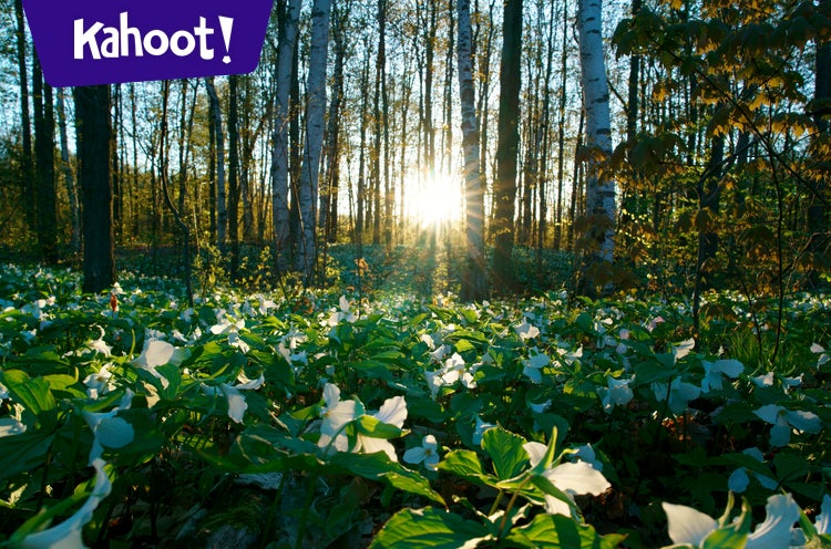 Spring Plant Adaptations - Kahoot! Quiz