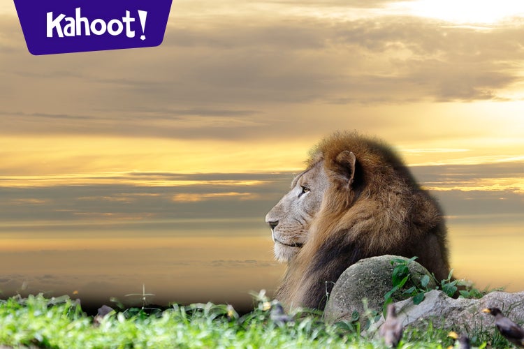 小学校 5－6年 - Animal Typing Game Lesson Part 1/3 - 動物タイピングゲームレッスン パート 1/3 ...