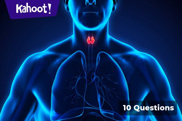 Urinary, Excretory, and Endocrine Systems - Kahoot! Quiz