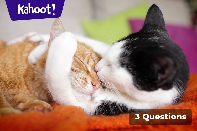 alles over Luuke - Kahoot! Quiz