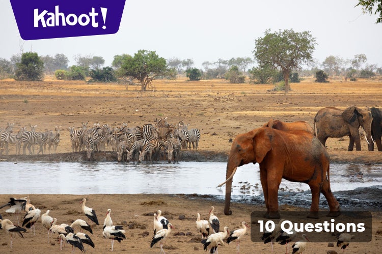 Earth's Spheres & Preview of Ecology - Kahoot! Quiz