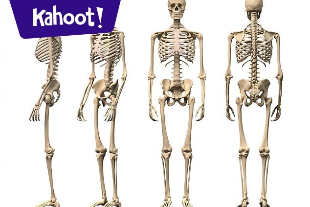 Year 10 HPE CORE Bones - Kahoot! Quiz