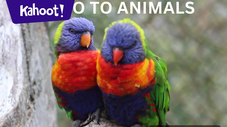 Intro To Animals - Kahoot! Quiz