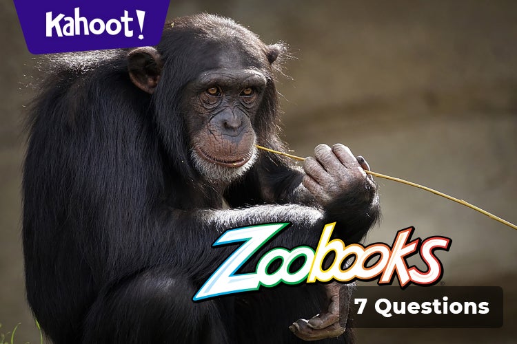 Get to Know the Apes: Explore Behavior, Habitats, and Amazing Facts ...