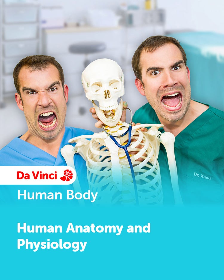 Human Body - Kahoot! Course