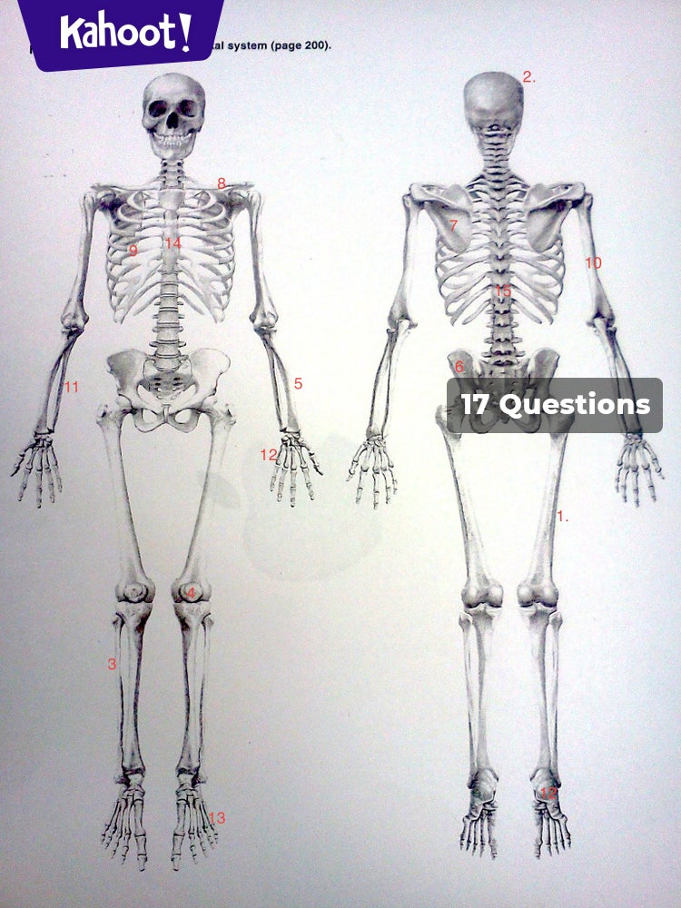 HBS 1.2 Anatomical Directions - Kahoot! Quiz