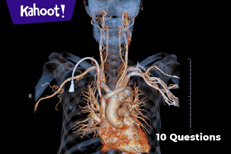 SHSC1034 Lecture 10 Cardiovascular/Cerebrovascular system - Kahoot! Quiz