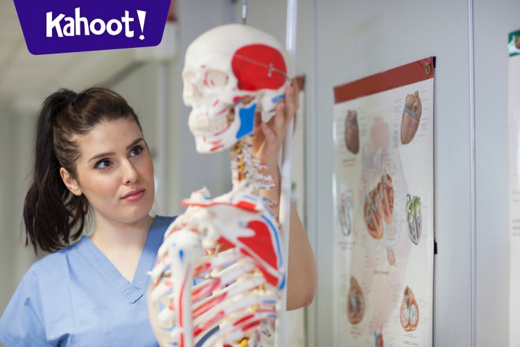 head and body parts - Kahoot! Quiz