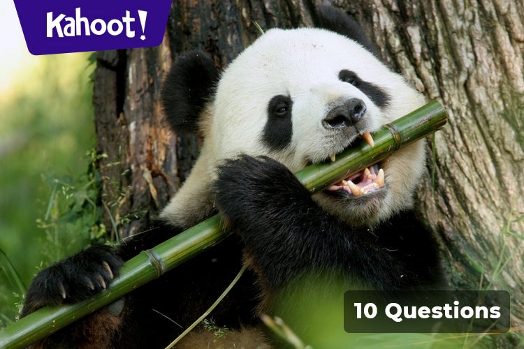 Ratio & Proportion - Kahoot! Quiz