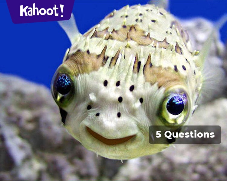 Guess the Animal! Bonus - Kahoot! Quiz