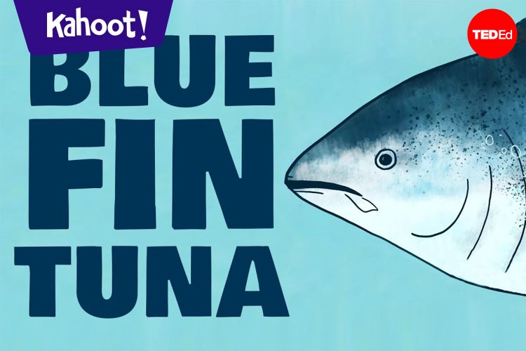 The toughest fish in the sea - Kahoot! Quiz