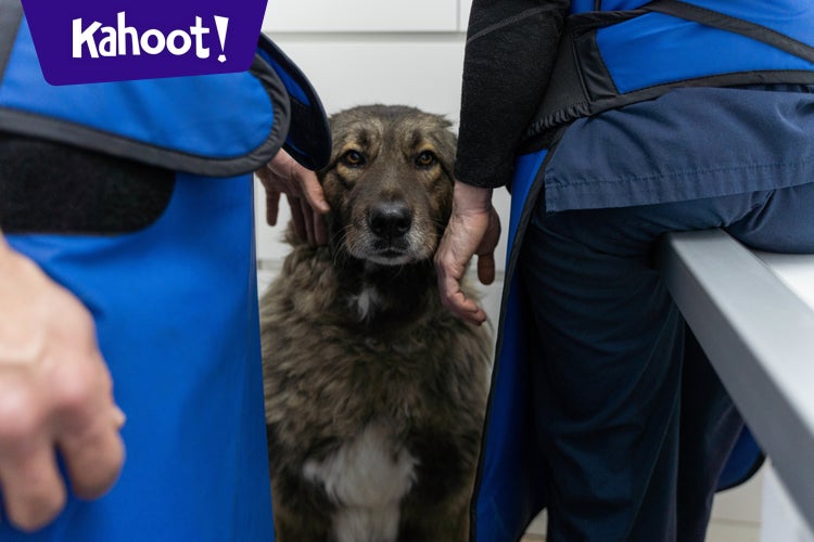 VT1700 Lecture 1: Radiation Safety - Kahoot! Quiz