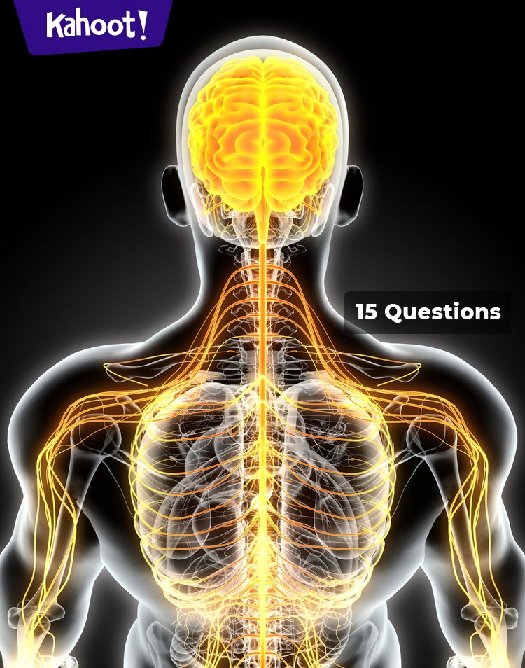Nervous system - Kahoot! Quiz