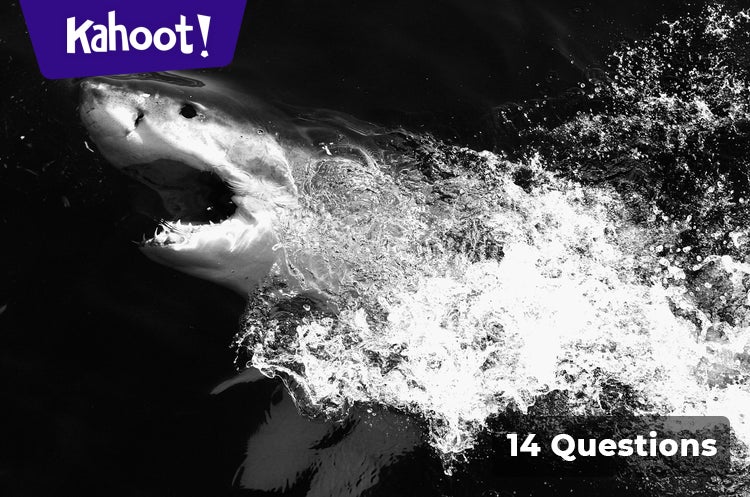 Ecology pt 3 - Kahoot! Quiz