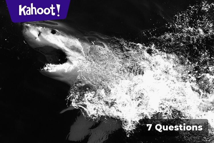 Zero Conditional - Kahoot! Quiz