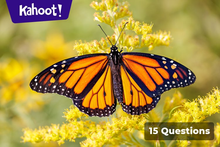 El Increíble Viaje de la Mariposa Monarca - Kahoot! Quiz