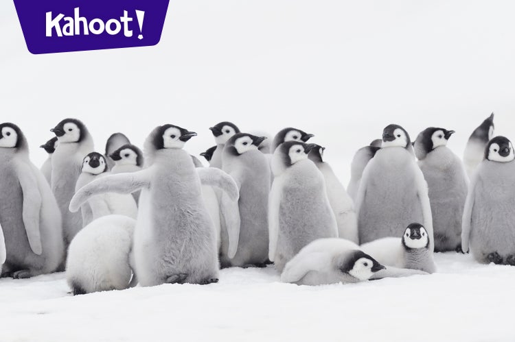 Animals and Environments - Kahoot! Quiz