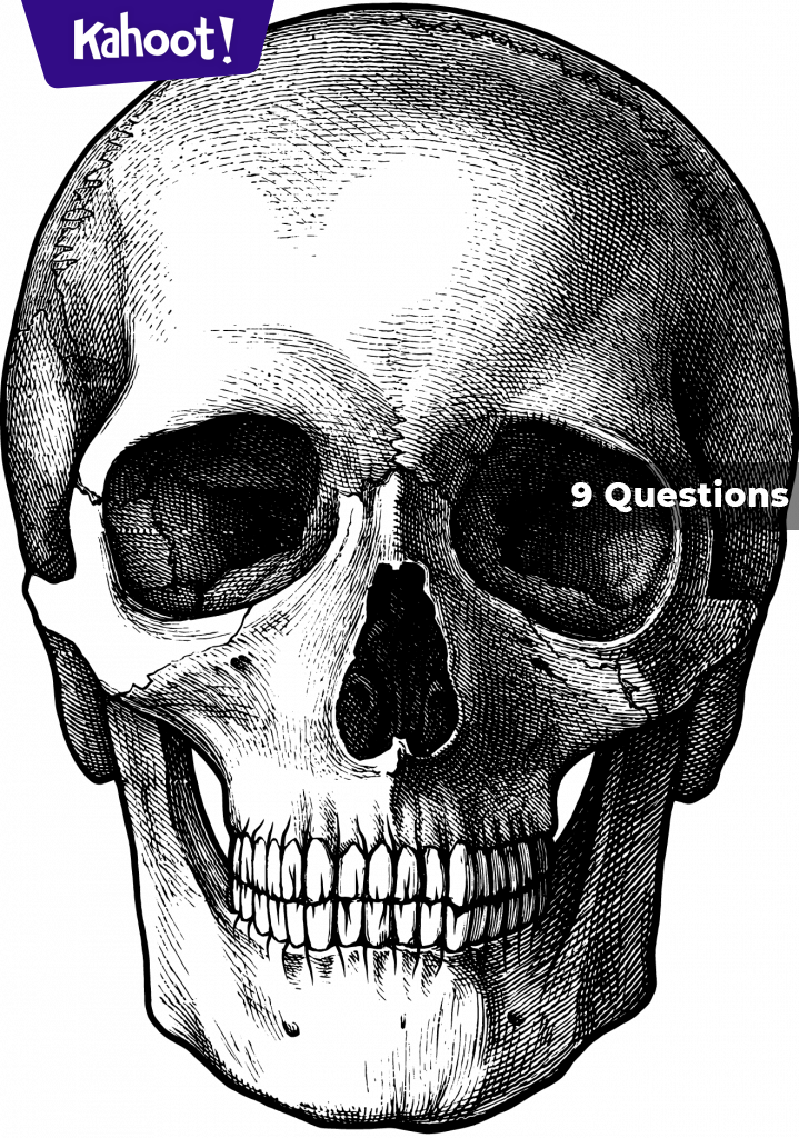 RAD 105: Unit 3 - Facial Bones and Cross-sectional Imaging - Kahoot! Quiz
