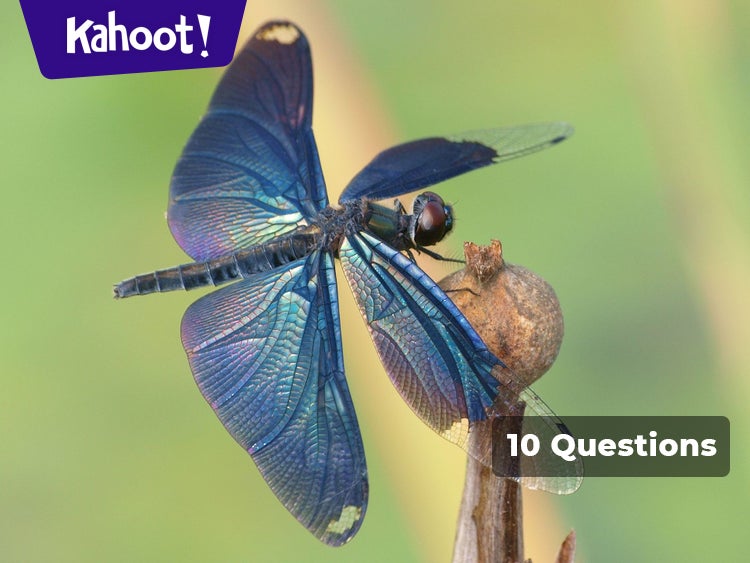 BrainPOP: Classification - Kahoot! Quiz