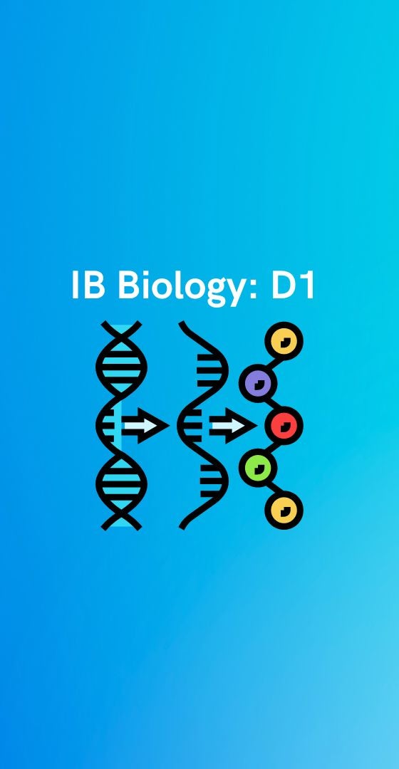 IB Biology D1: DNA Replication, Protein Synthesis, Mutations - Kahoot ...