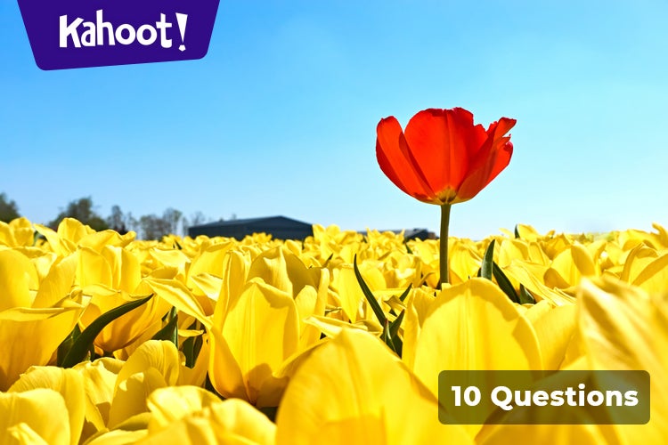 Springtime Synonyms and Antonyms - Kahoot! Quiz