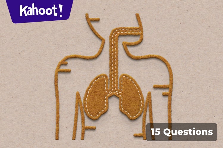 CNA Lesson 24: Common Diseases and Disorders Respiratory and Urinary ...