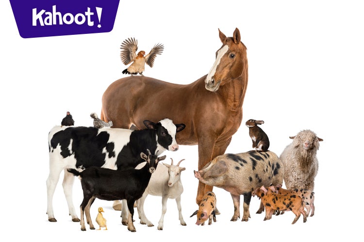 Farm animals vocabulary - Kahoot! Quiz