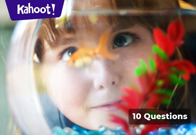 How to Take Care of Fish - Kahoot! Quiz