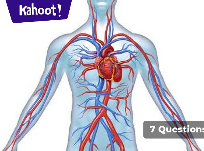 Duplicate of De bloedsomloop - Kahoot! Quiz