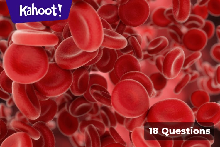 Blut Quiz Station 1_Vorlage - Kahoot! Quiz