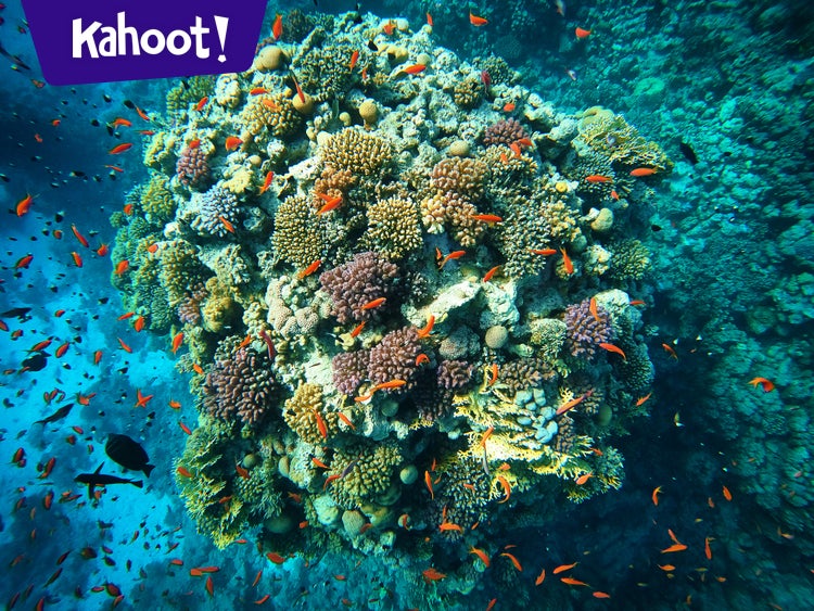 Ecosystem Study Guide - Kahoot! Quiz