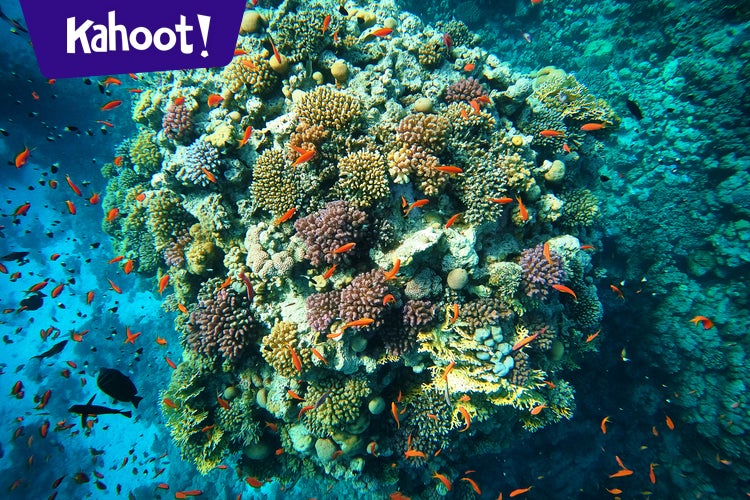 Ecosystem Study Guide - Kahoot! Quiz