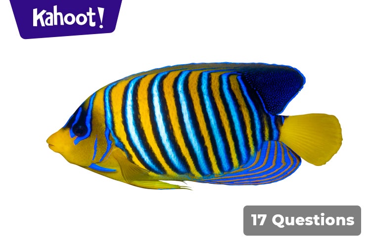 MD The Fisherman and His Wife Review - Kahoot! Quiz