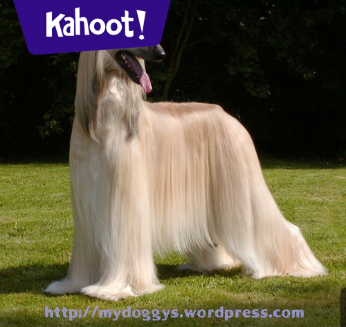 Vet Science CDE Dog Breeds - Hound Group - Kahoot! Quiz