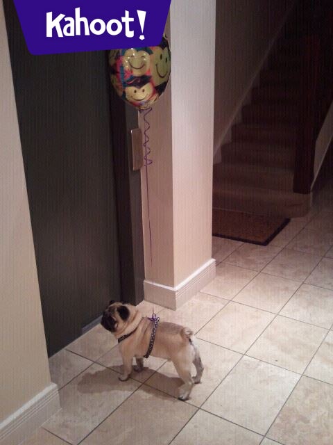 Ecology AP Review - Kahoot! Quiz