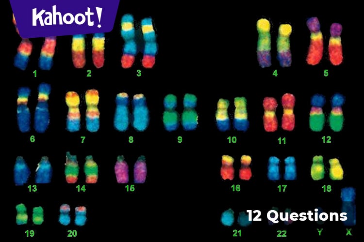 Genetics Basics Yr 10 - Kahoot! Quiz