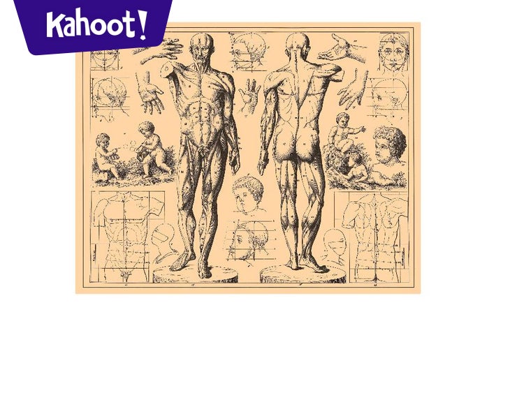 Anatomy Body Regions - Kahoot! Quiz