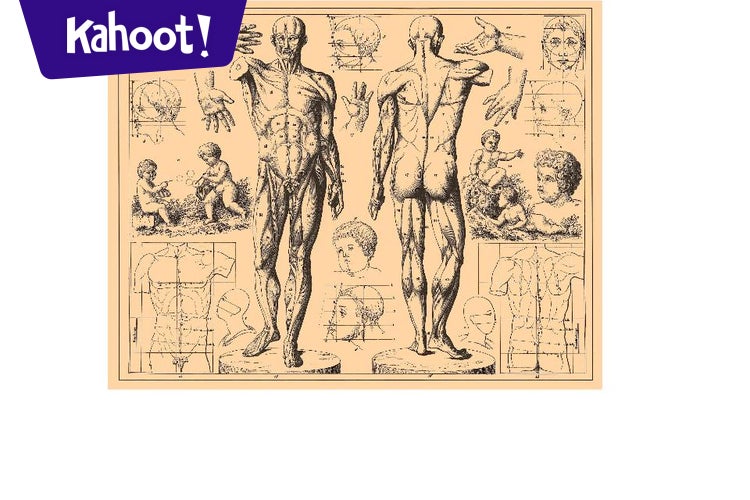 Anatomy Body Regions - Kahoot! Quiz