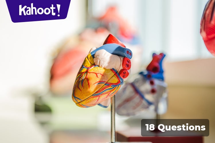 The Cardiovascular System - Kahoot! Quiz