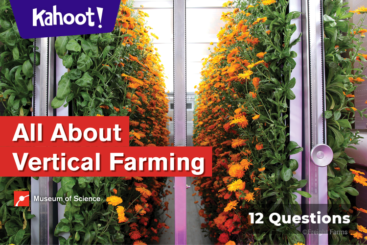 All About of Vertical Farming - Kahoot! Quiz