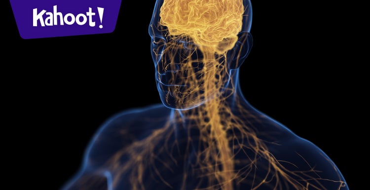 Science Unit 2 lesson 5 lower - Kahoot! Quiz