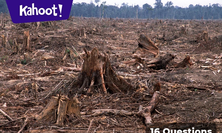 Impacts of deforestation - Kahoot! Quiz