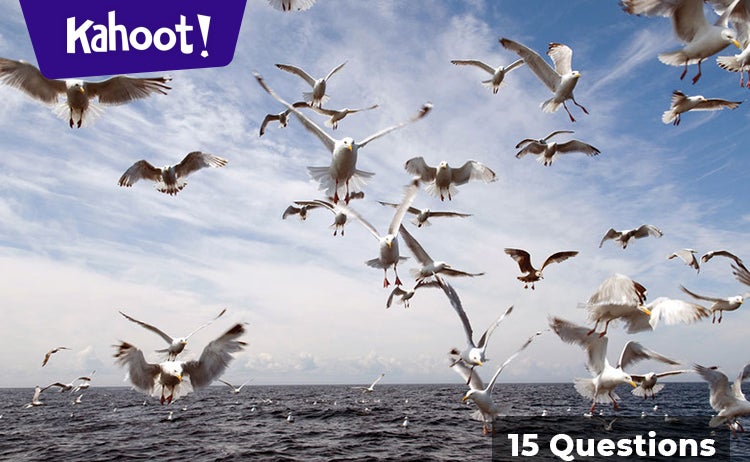 Reproduction In Reptiles And Birds Our Super Kahoot Quiz Kahoot Quiz