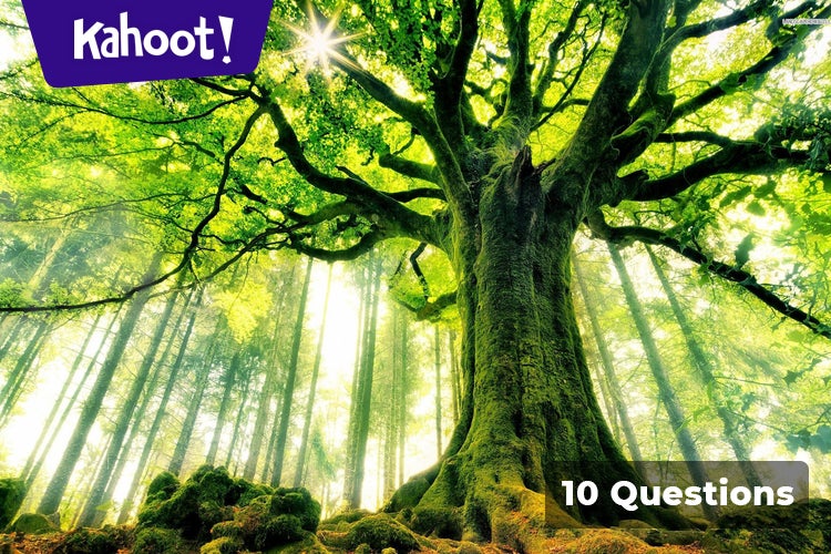 A plenary game about Trees - Kahoot! Quiz