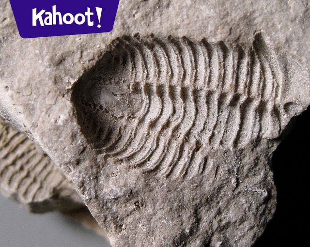D2U5L1E1 Types of Fossils - Kahoot! Quiz
